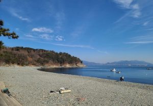 The 12 Best Things To Do In Yeosu, South Korea | Travel Guide