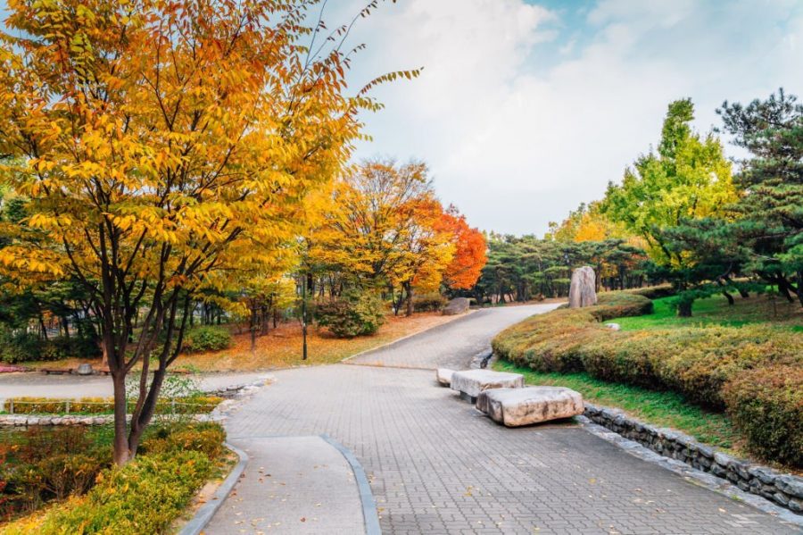 The 10 Best Things To Do In Namsangol Hanok Village