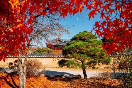 The 9 Most Beautiful Hanok Villages In South Korea