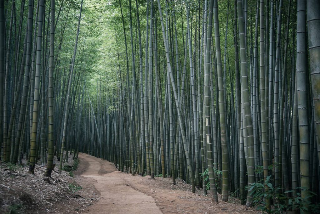 15 Hidden Gems In Busan You Should Really Visit