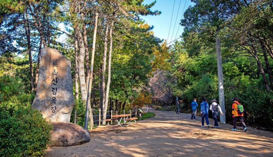 15 Hidden Gems In Busan You Should Really Visit