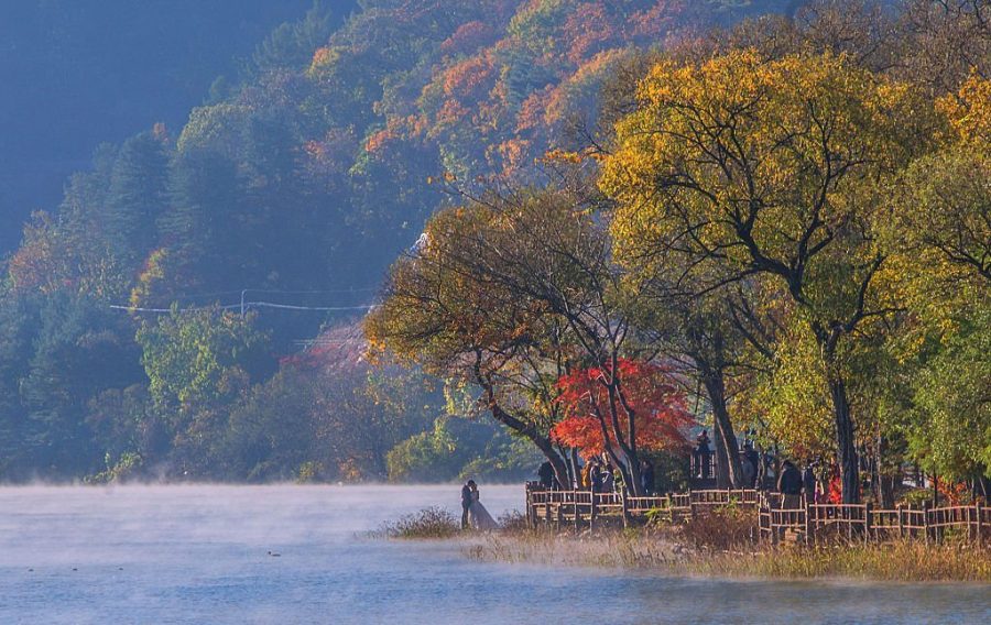 The 12 Best Things To Do In Nami Island You Have To Do