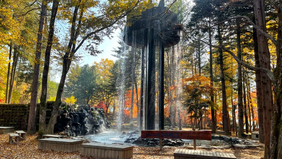 The 12 Best Things To Do In Nami Island You Have To Do