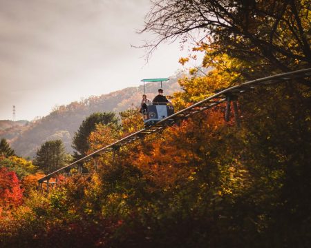 The 12 Best Things To Do In Nami Island You Have To Do