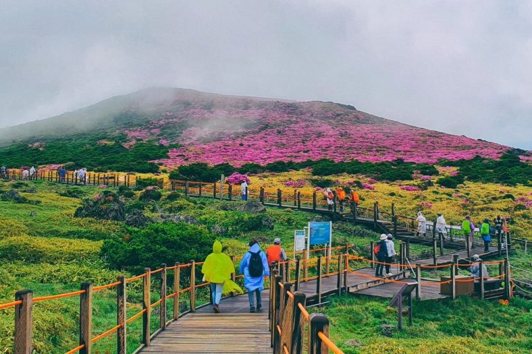 The 20 Best Things To Do In Jeju City You Should Not Miss In 2025