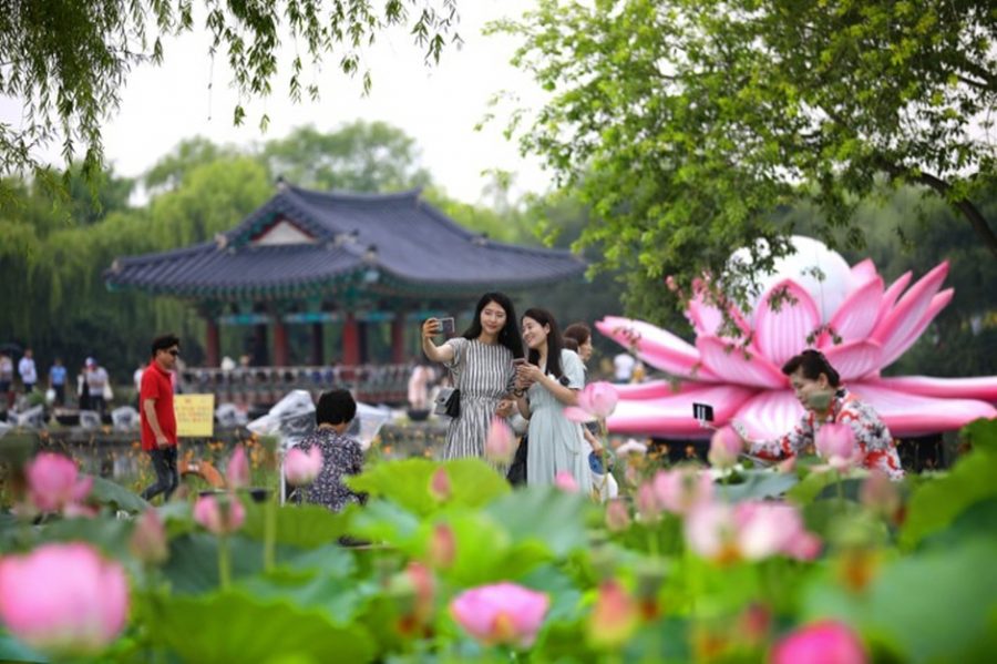 20 Awesome Things To Do During Summer In Korea [2026]