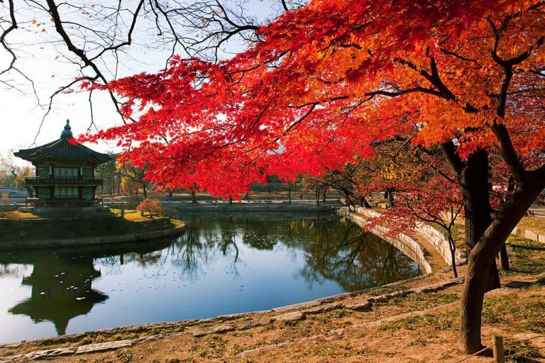 20 Awesome Things To Do During Autumn In Korea [2025]