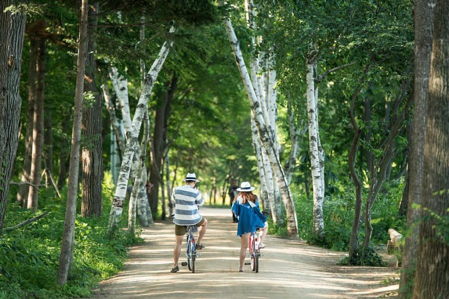 20 Unmissable Things To Do During Spring In Korea [2026]